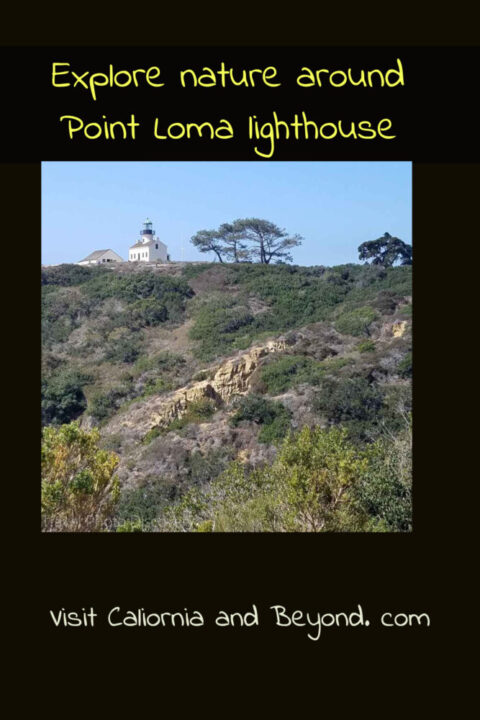 Point Loma lighthouse - Visit California and Beyond