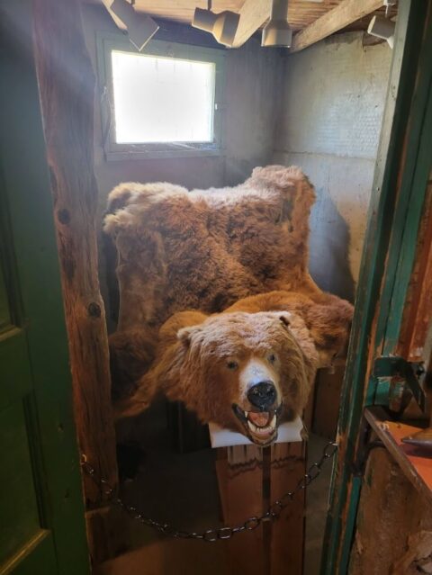 cabot museum in desert hot springs - Visit California and Beyond